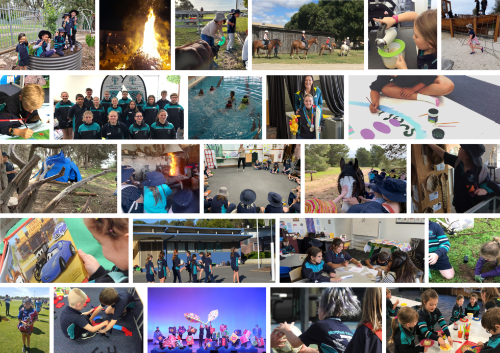 Morphett Vale East Primary School